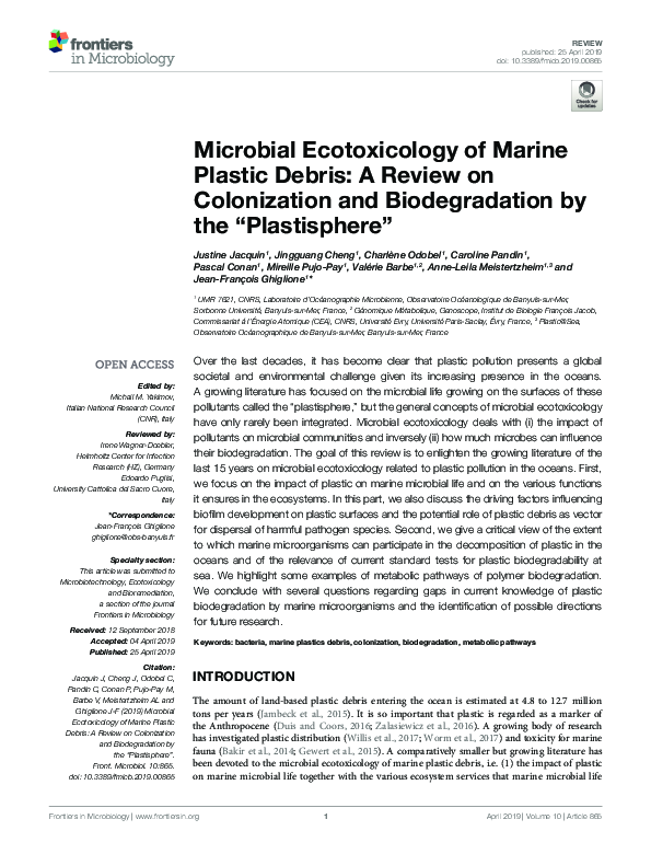 (PDF) Microbial Ecotoxicology of Marine Plastic Debris: A Review on Colonization and ...