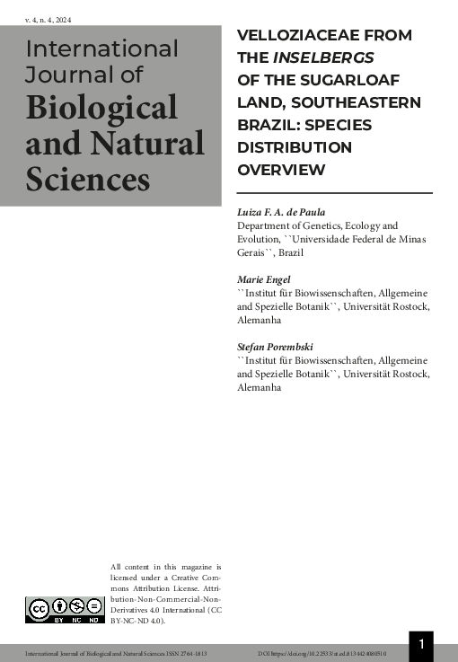 (PDF) Velloziaceae from the inselbergs of the Land of Sugarloaf ...