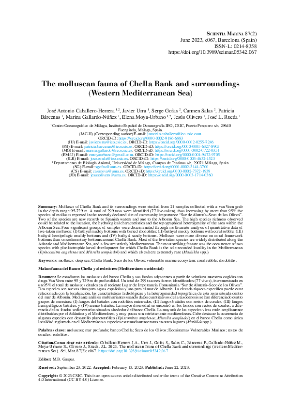 (PDF) The molluscan fauna of Chella Bank and surroundings (Western Mediterranean Sea)