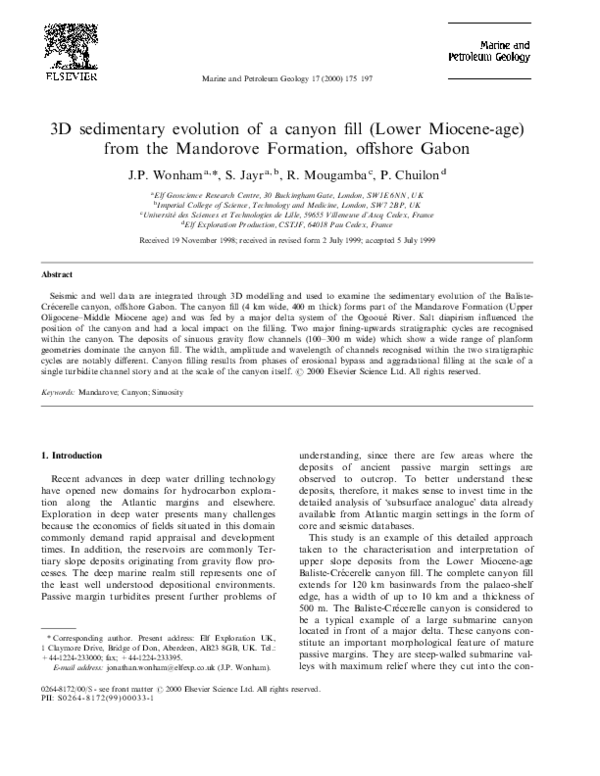 (PDF) 3D sedimentary evolution of a canyon fill (Lower Miocene-age ...