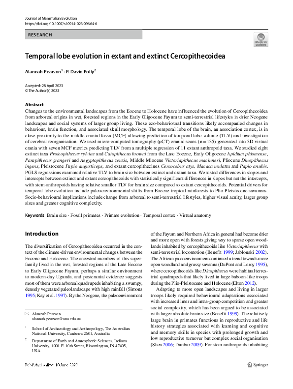 (PDF) Temporal lobe evolution in extant and extinct Cercopithecoidea