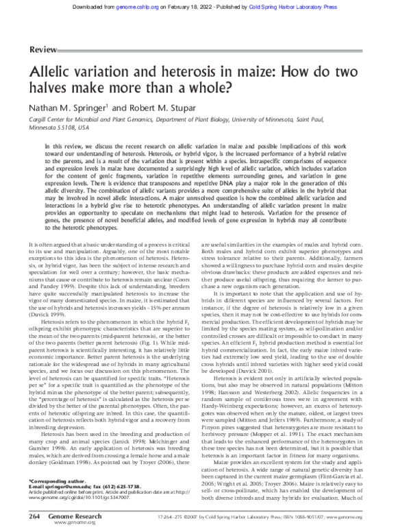 (PDF) Allelic variation and heterosis in maize: How do two halves make ...