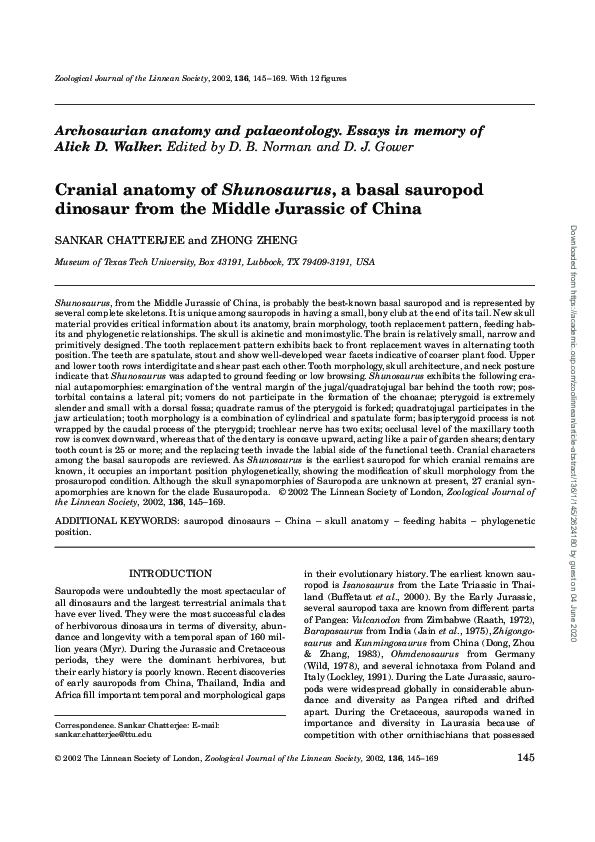 (PDF) Cranial anatomy of Shunosaurus, a basal sauropod dinosaur from ...