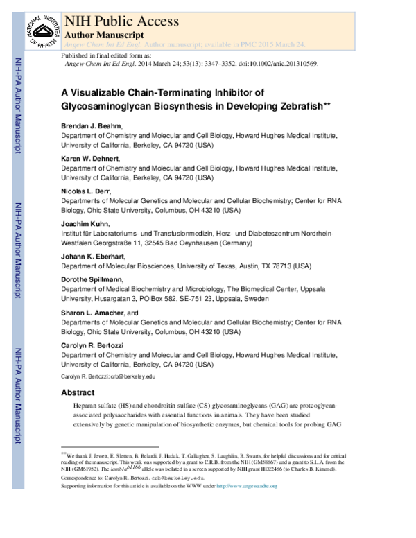 (PDF) A Visualizable Chain-Terminating Inhibitor of Glycosaminoglycan ...