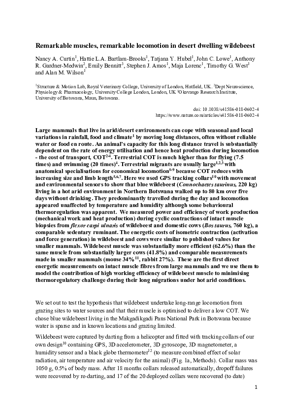 (PDF) Remarkable muscles, remarkable locomotion in desert-dwelling wildebeest