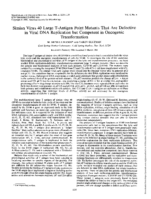 (PDF) Simian virus 40 large T-antigen point mutants that are defective ...