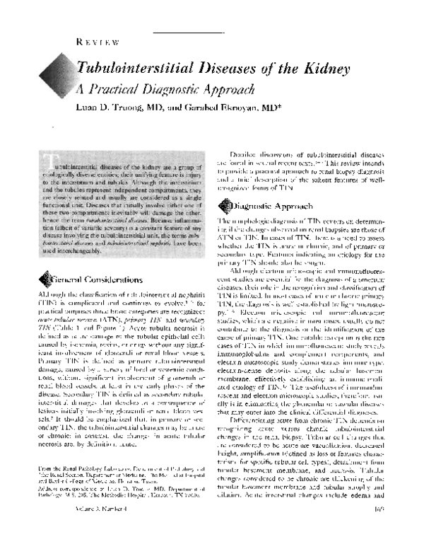 (PDF) Tubulointerstitial Diseases of the Kidney