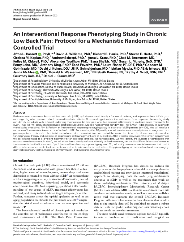 (PDF) An Interventional Response Phenotyping Study in Chronic Low Back ...