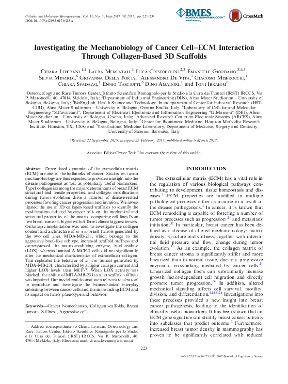 (PDF) Investigating the Mechanobiology of Cancer Cell–ECM Interaction ...