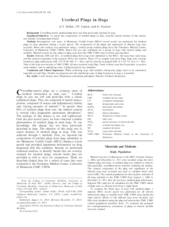 (PDF) Urethral Plugs in Dogs