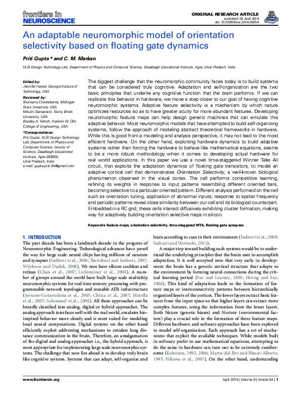 (PDF) Neuromorphic Model for Adaptive Orientation Selectivity