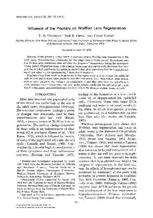 (PDF) Influence of the pituitary on Wolffian lens regeneration | Javier ...