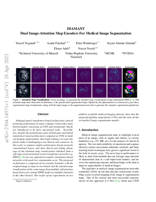 (PDF) DIAMANT: Dual Image-Attention Map Encoders For Medical Image Segmentation