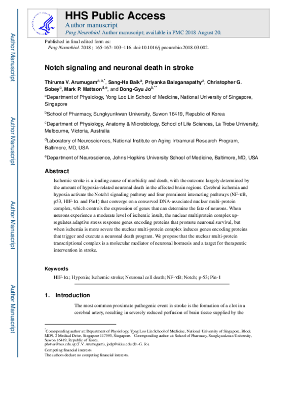 (PDF) Notch signaling and neuronal death in stroke