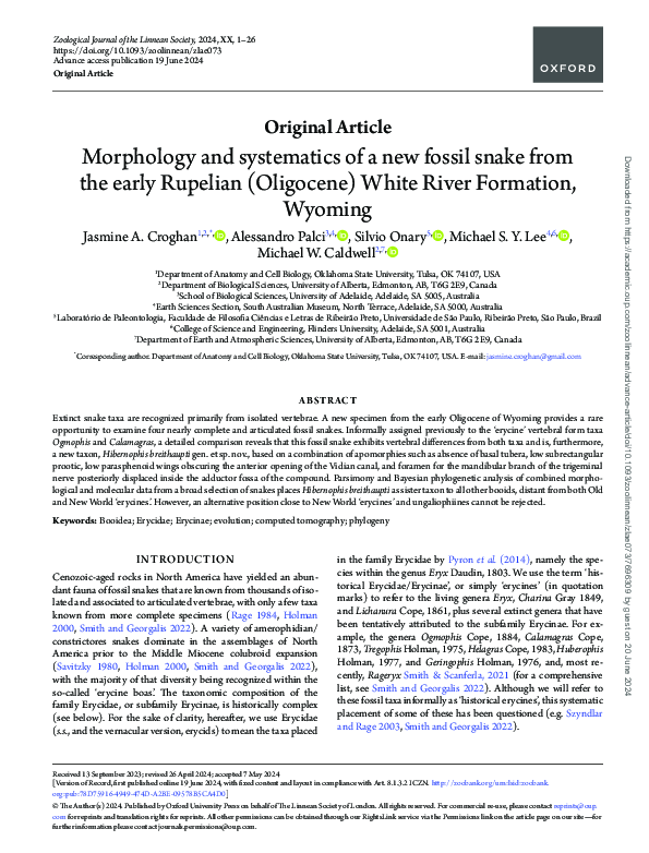 (PDF) Morphology and systematics of a new fossil snake from the early Rupelian (Oligocene) White ...
