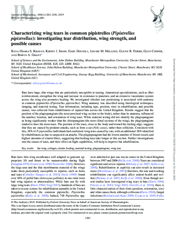 (PDF) Characterizing wing tears in common pipistrelles (Pipistrellus ...