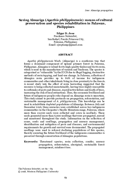 (PDF) Saving Almaciga (Agathis philippinensis): means of cultural ...