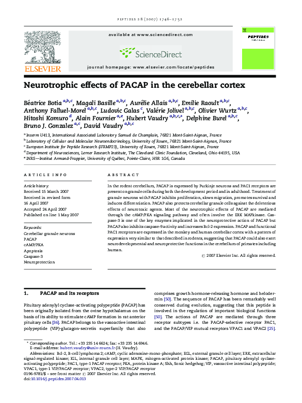 (PDF) Neurotrophic effects of PACAP in the cerebellar cortex