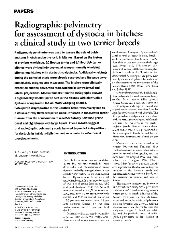 (PDF) Radiographic pelvimetry for assessment of dystocia in bitches: a ...
