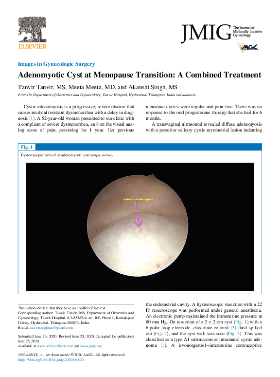 (PDF) Adenomyotic Cyst at Menopause Transition: A Combined Treatment ...