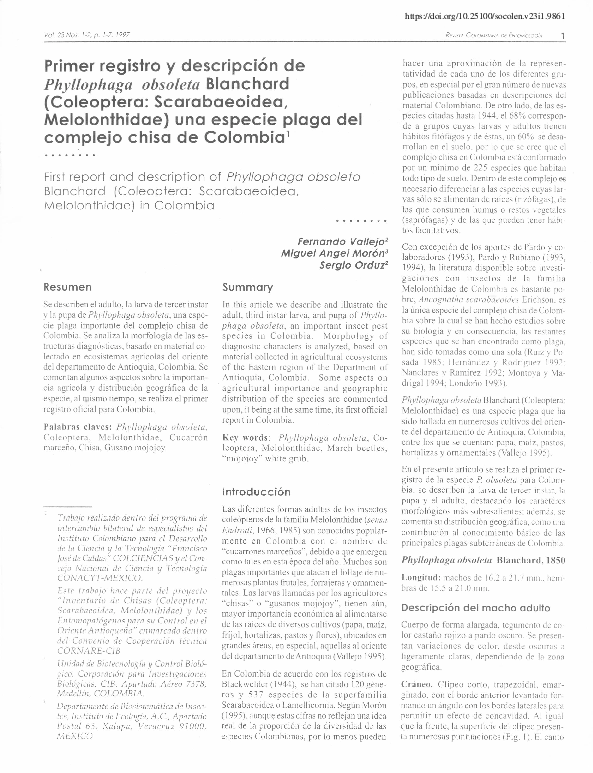 (PDF) Primer registro y descripción de Phyllophaga obsoleta Blanchard ...