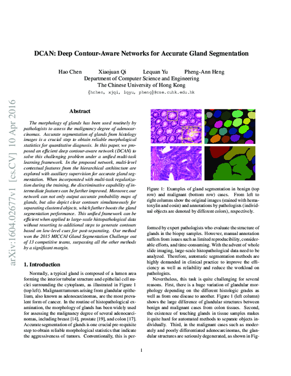 (PDF) DCAN: Deep Contour-Aware Networks for Accurate Gland Segmentation | Lequan Yu - Academia.edu