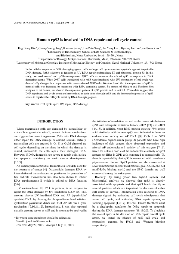 (PDF) Human rpS3 is involved in DNA repair and cell cycle control