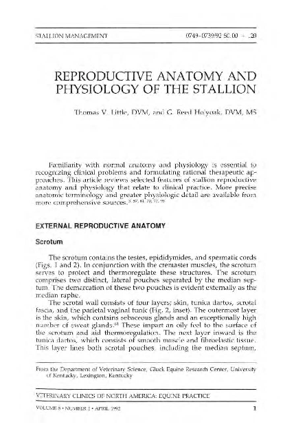 (PDF) Reproductive Anatomy and Physiology of the Stallion