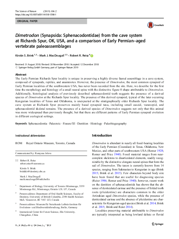 (PDF) Dimetrodon (Synapsida: Sphenacodontidae) from the cave system at ...