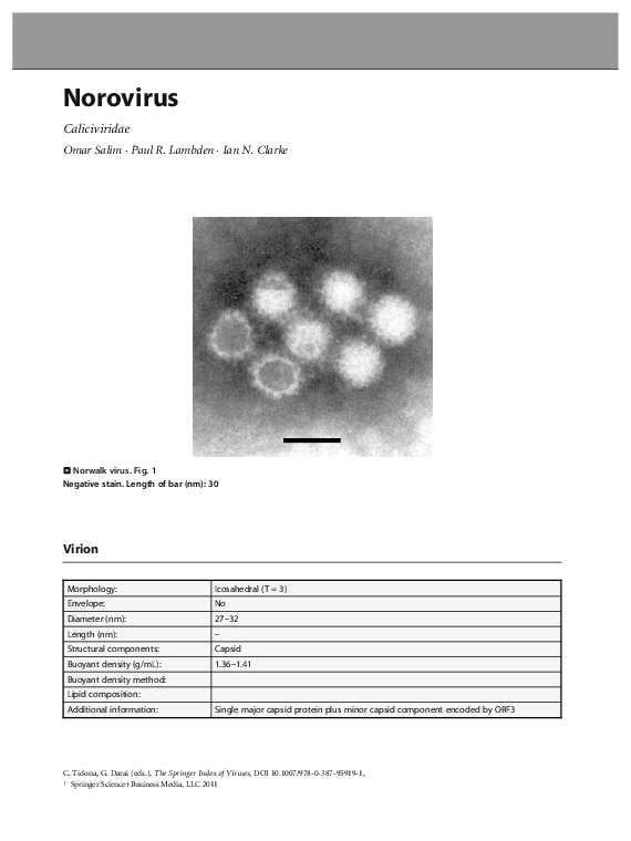 (PDF) Norovirus