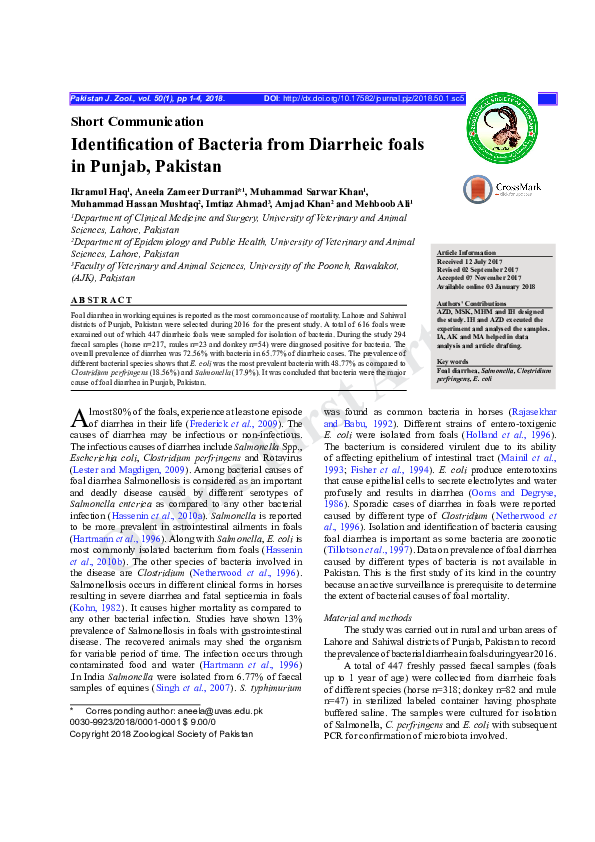 (PDF) Identification of Bacteria from Diarrheic foals in Punjab, Pakistan
