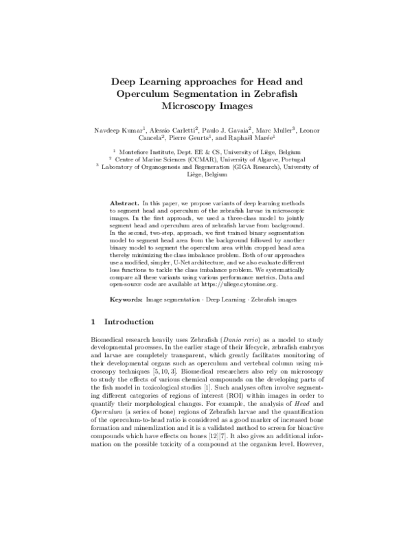 (PDF) Deep Learning Approaches for Head and Operculum Segmentation in Zebrafish Microscopy Images