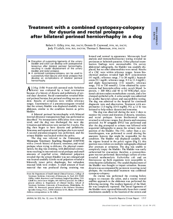 (PDF) Treatment with a combined cystopexy-colopexy for dysuria and ...