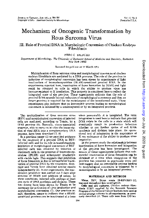(PDF) Role of Proviral DNA in Oncogenic Transformation
