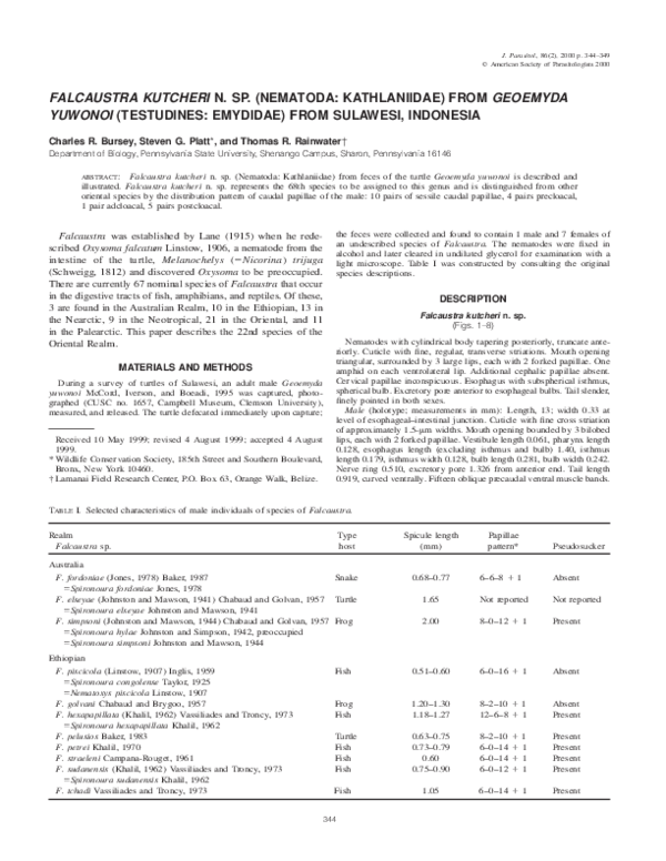 Falcaustra kutcheri n. sp. (Nematoda: Kathlaniidae) from Geoemyda ...