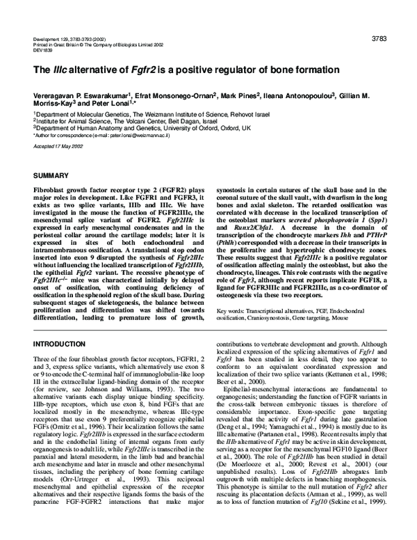 (PDF) The IIIc alternative of Fgfr2 is a positive regulator of bone ...