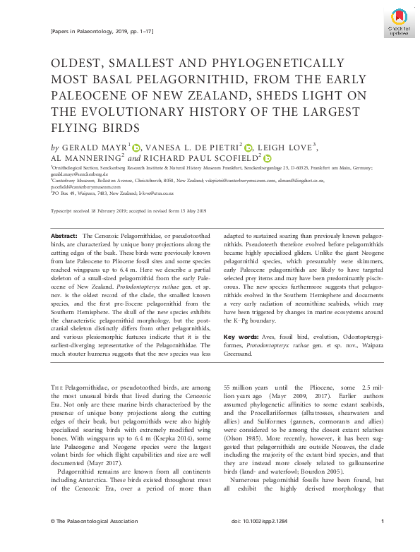 (PDF) Oldest, smallest and phylogenetically most basal pelagornithid ...