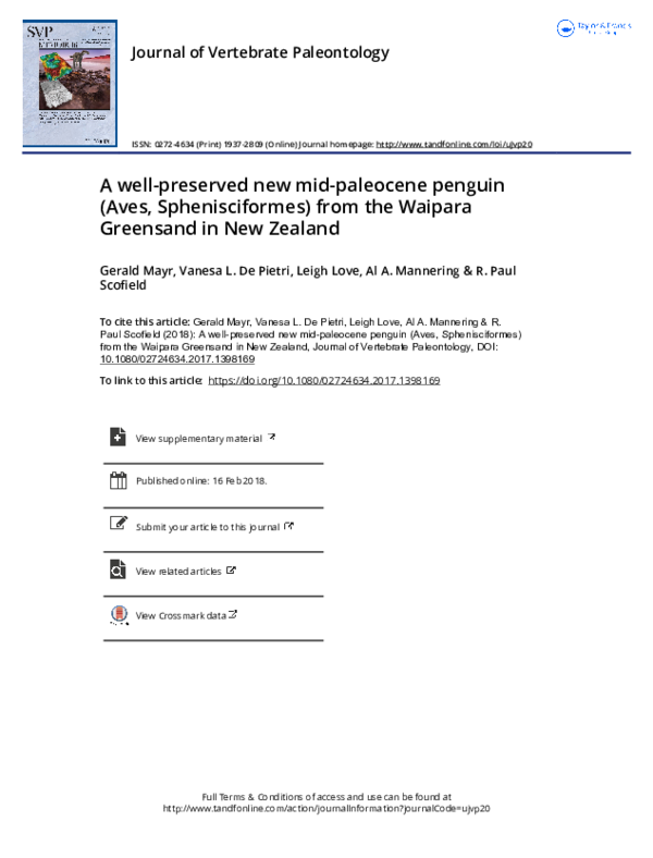 (PDF) A well-preserved new mid-paleocene penguin (Aves, Sphenisciformes ...