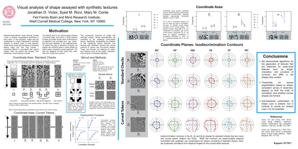 (PDF) Visual analysis of shape assayed with synthetic textures