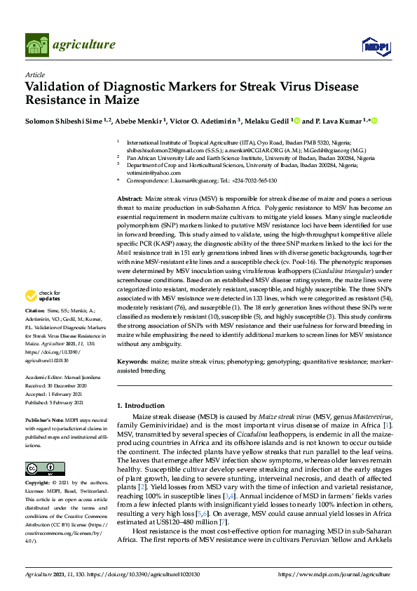 (PDF) Validation of Diagnostic Markers for Streak Virus Disease Resistance in Maize