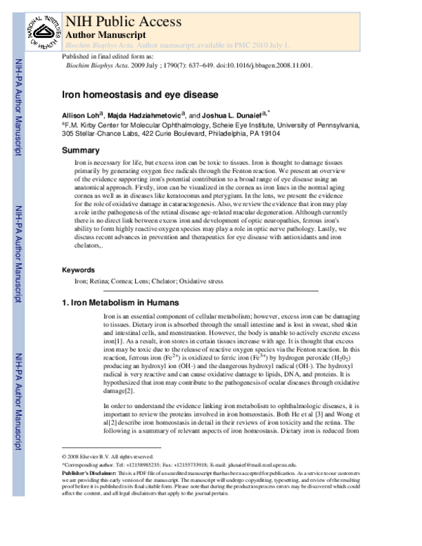 (PDF) Iron homeostasis and eye disease