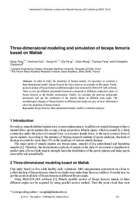(PDF) Three-dimensional modeling and simulation of biceps femoris based on Matlab