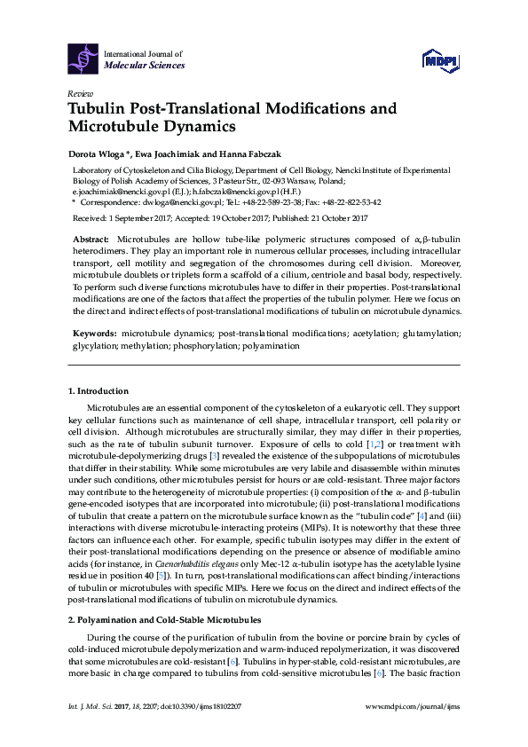 (PDF) Tubulin Post-Translational Modifications and Microtubule Dynamics