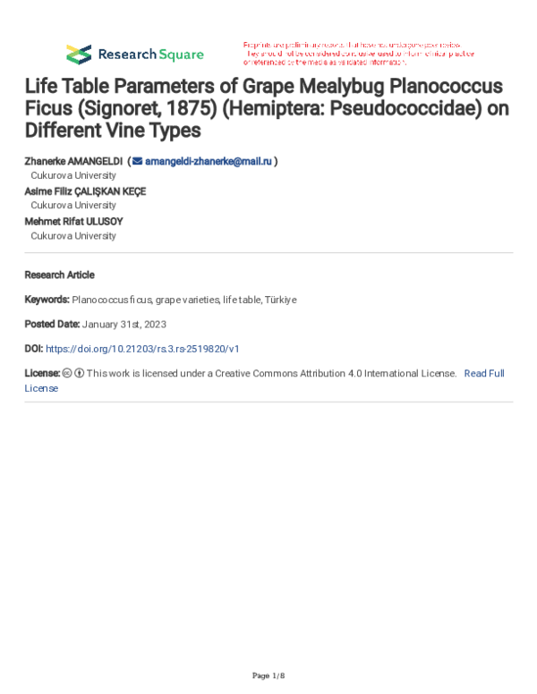 (PDF) Life Table Parameters of Grape Mealybug Planococcus Ficus ...