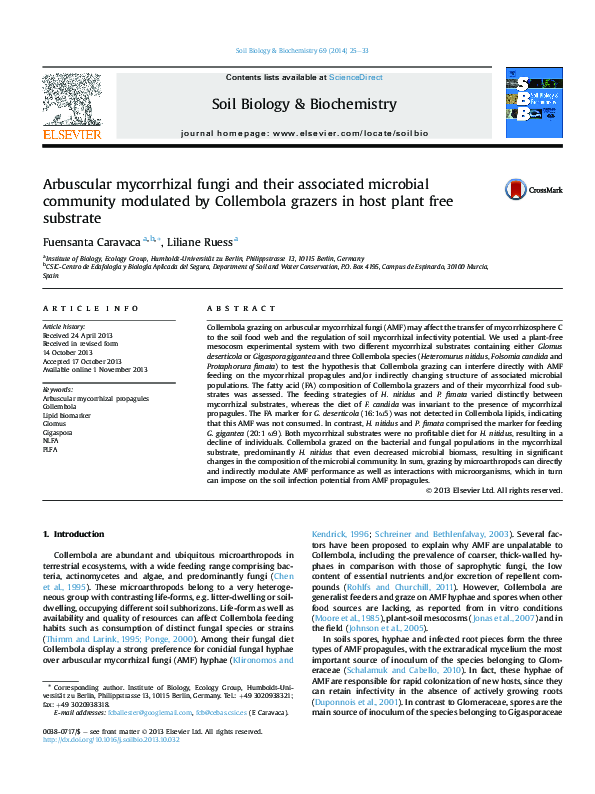 (PDF) Arbuscular Mycorrhizal Fungi and Their Association for Bioremediation in Rice Cultivation