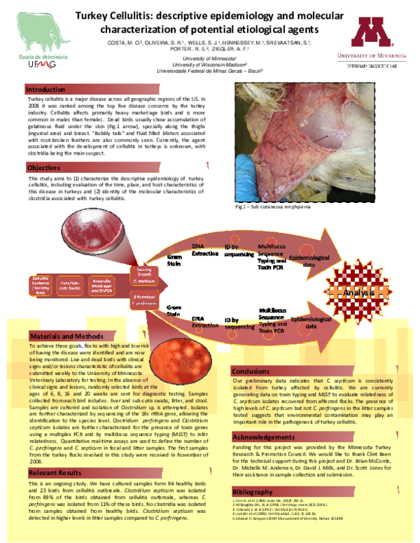 (PDF) Turkey Cellulitis: Descriptive Epidemiology and Molecular ...