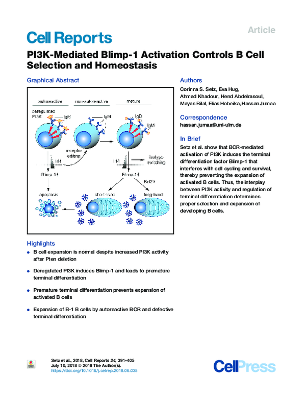 (PDF) PI3K-Mediated Blimp-1 Activation Controls B Cell Selection and ...