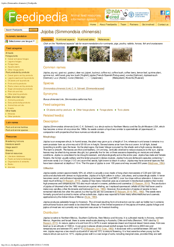 (PDF) Jojoba (Simmondsia chinensis)
