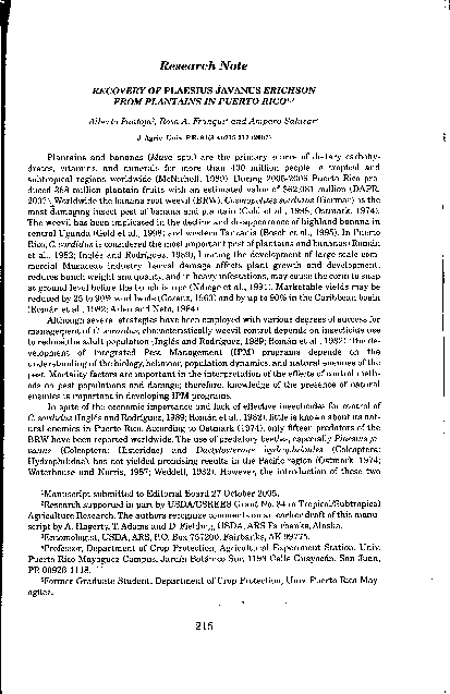 (PDF) Recovery of Plaesius Javanus Erichson from Plantains in Puerto Rico