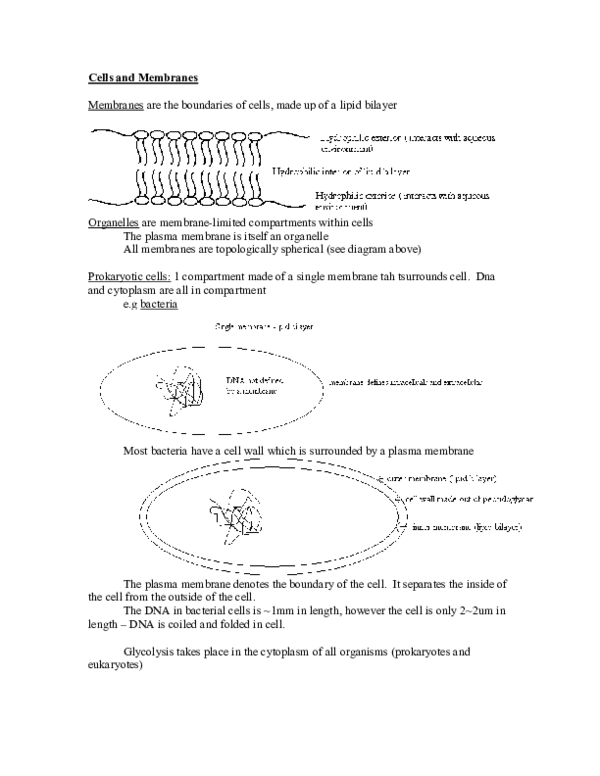 (PDF) Cells and Membranes